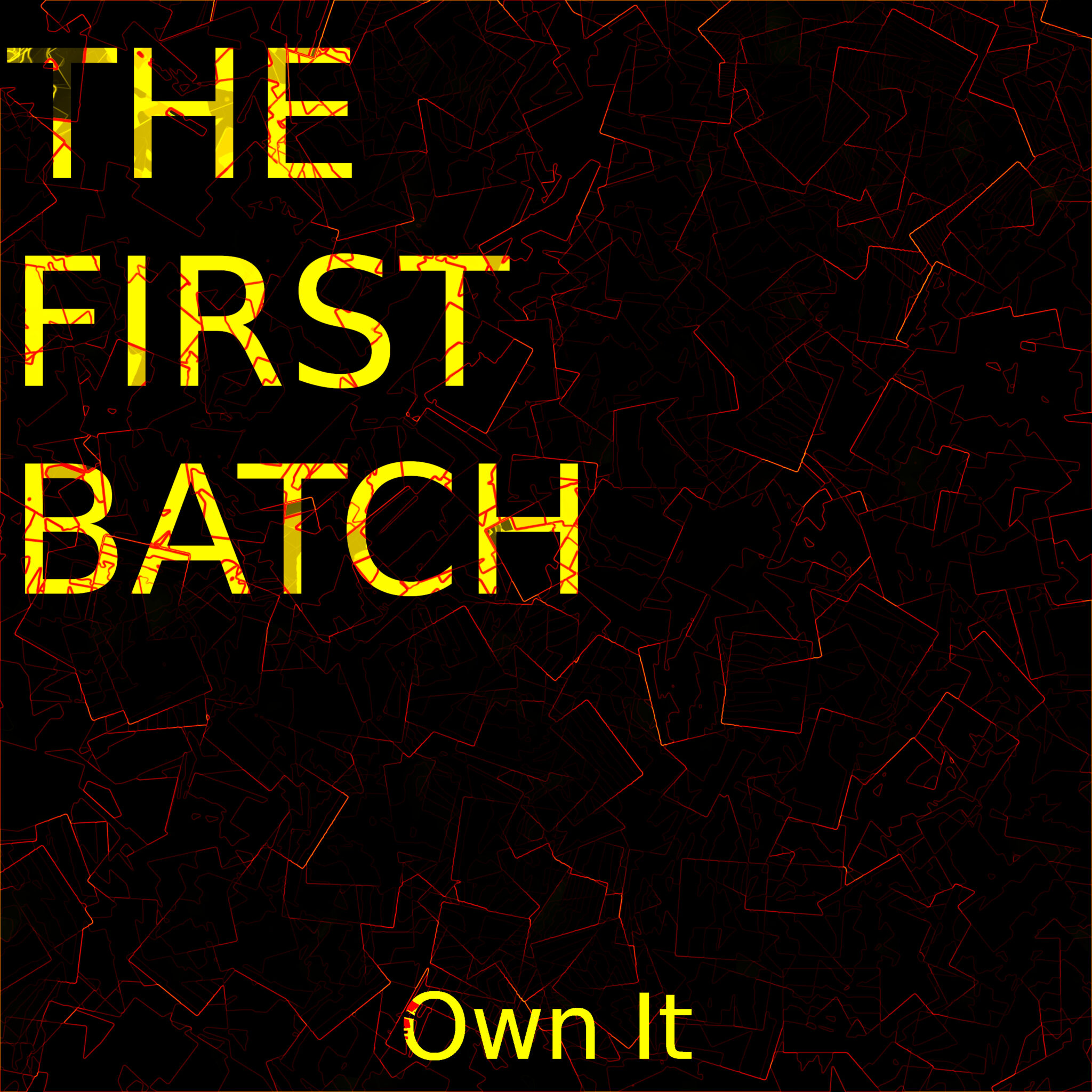 The First Batch, the first Own It album! – Own It